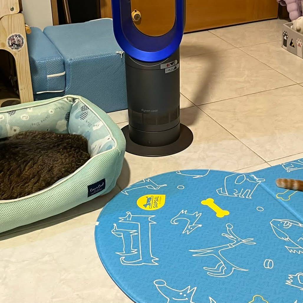 Post from 852HKTV HK Walker 港生活 旅遊自由行