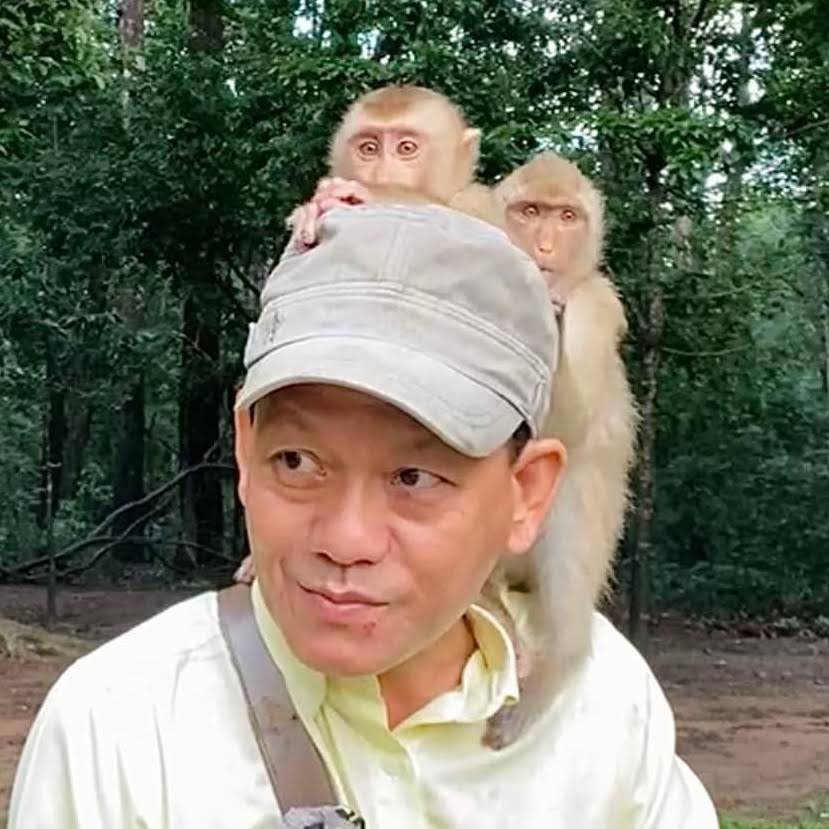 Post from The Monkey Whisperer