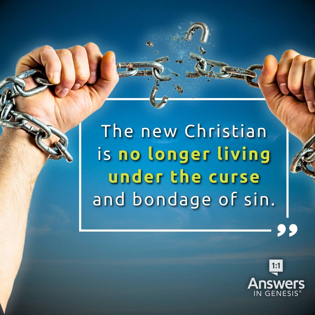 Post from Answers in Genesis
