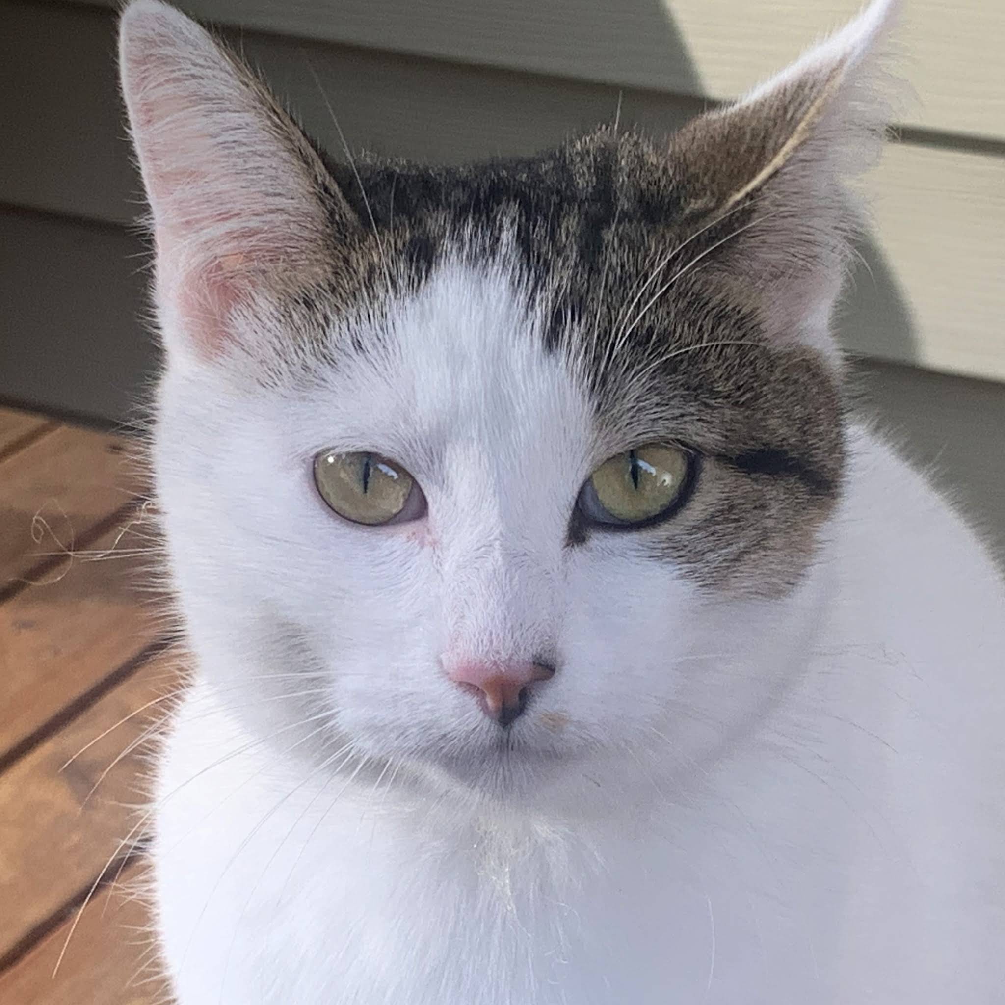 Post from Kaye Kittrell Late Bloomer