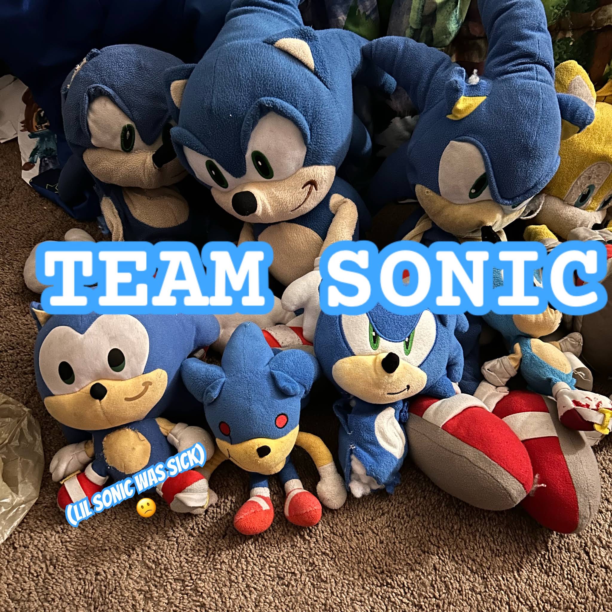 Post from The Hedgehog Bros