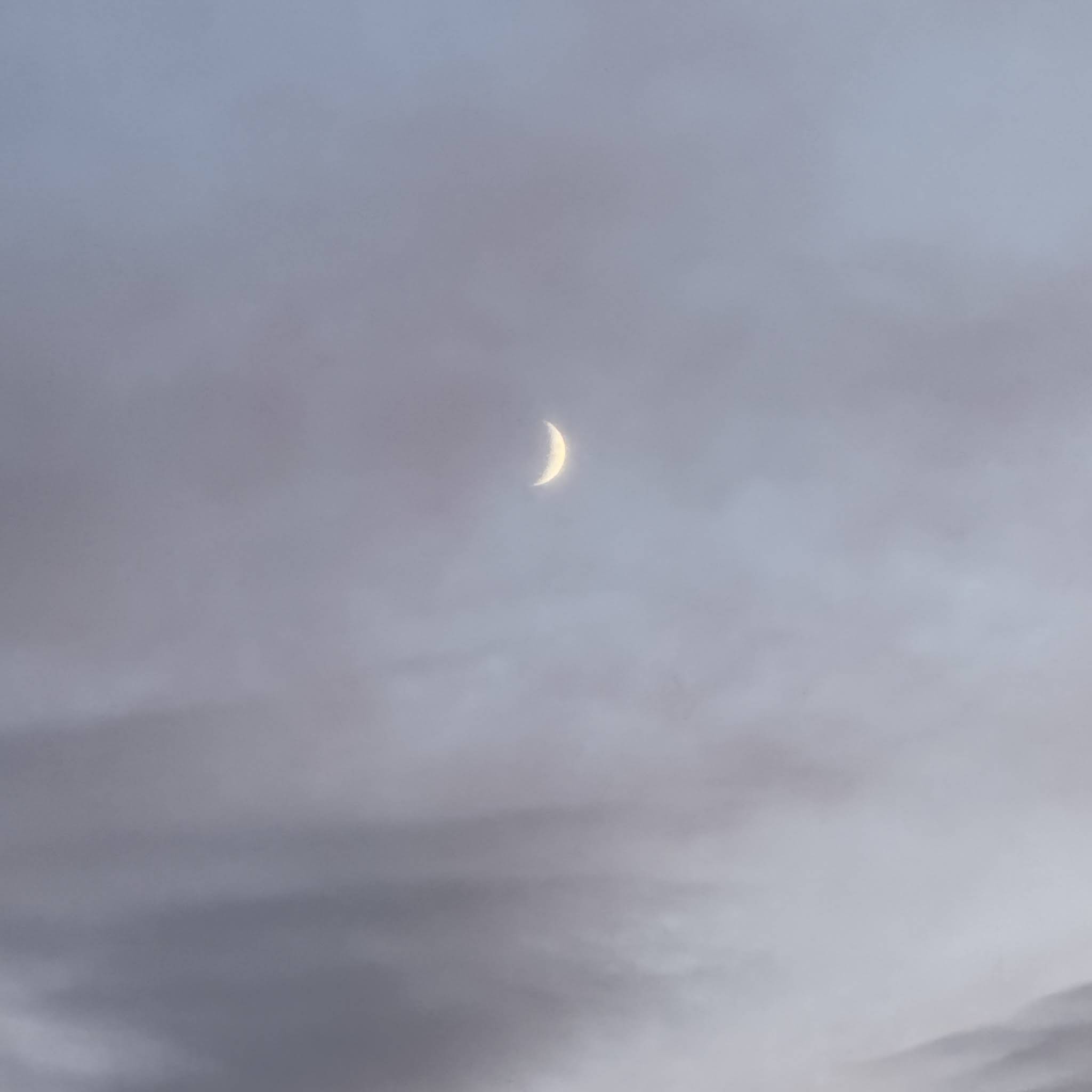 Post from nickplayz | free schlep