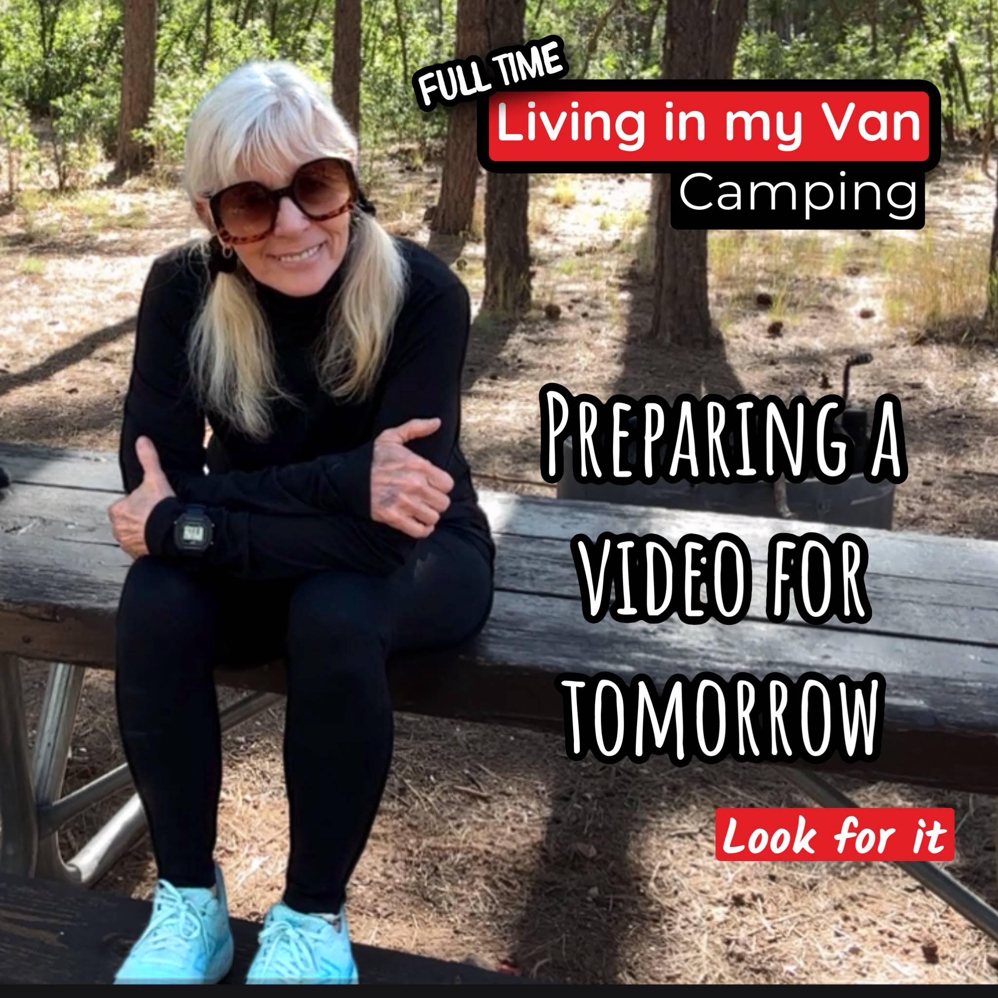 Post from The (Minivan) Lee Thomas Show