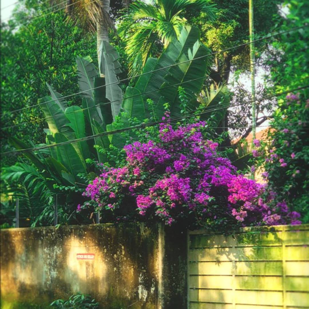 Post from Xthetic nini