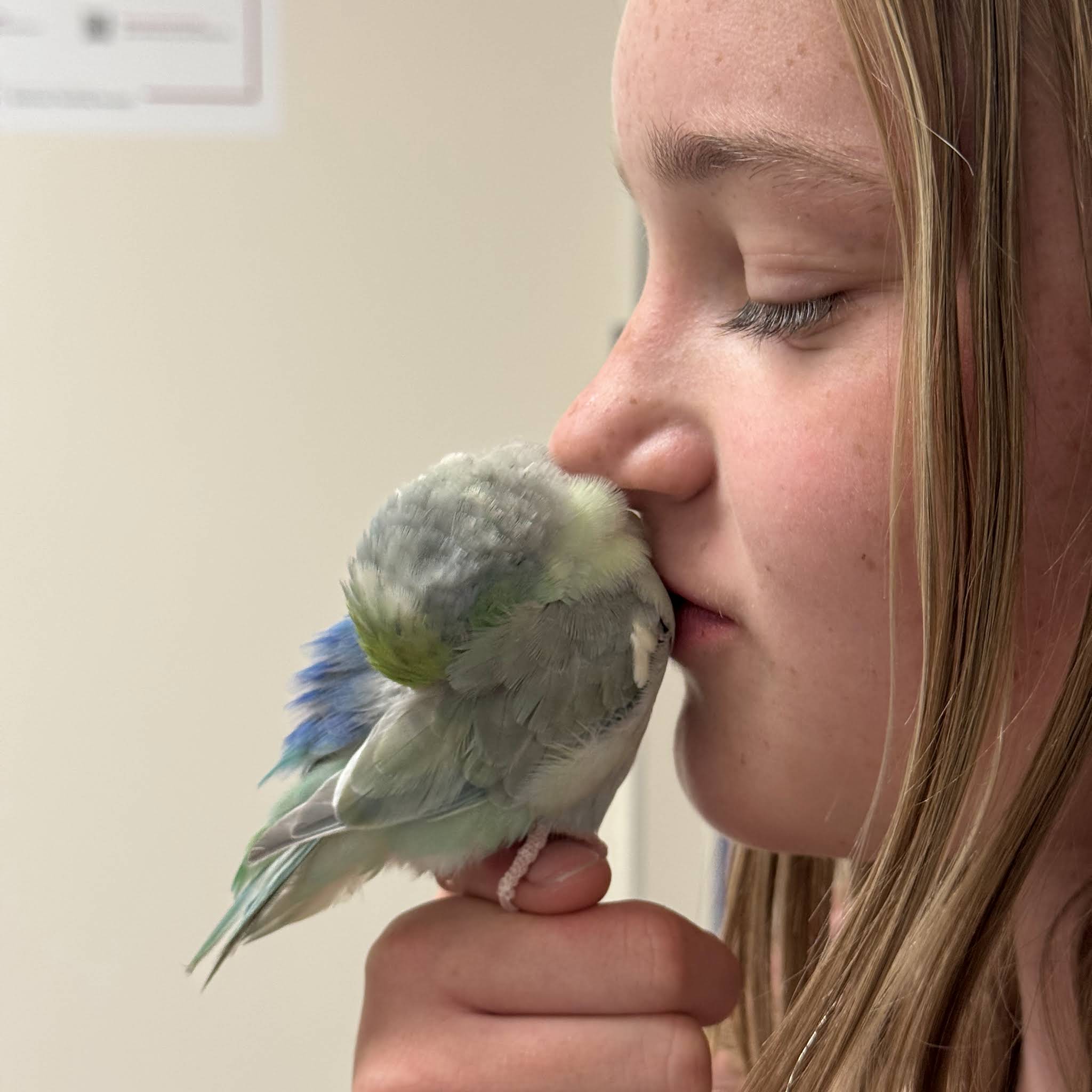 Post from BirdTricks