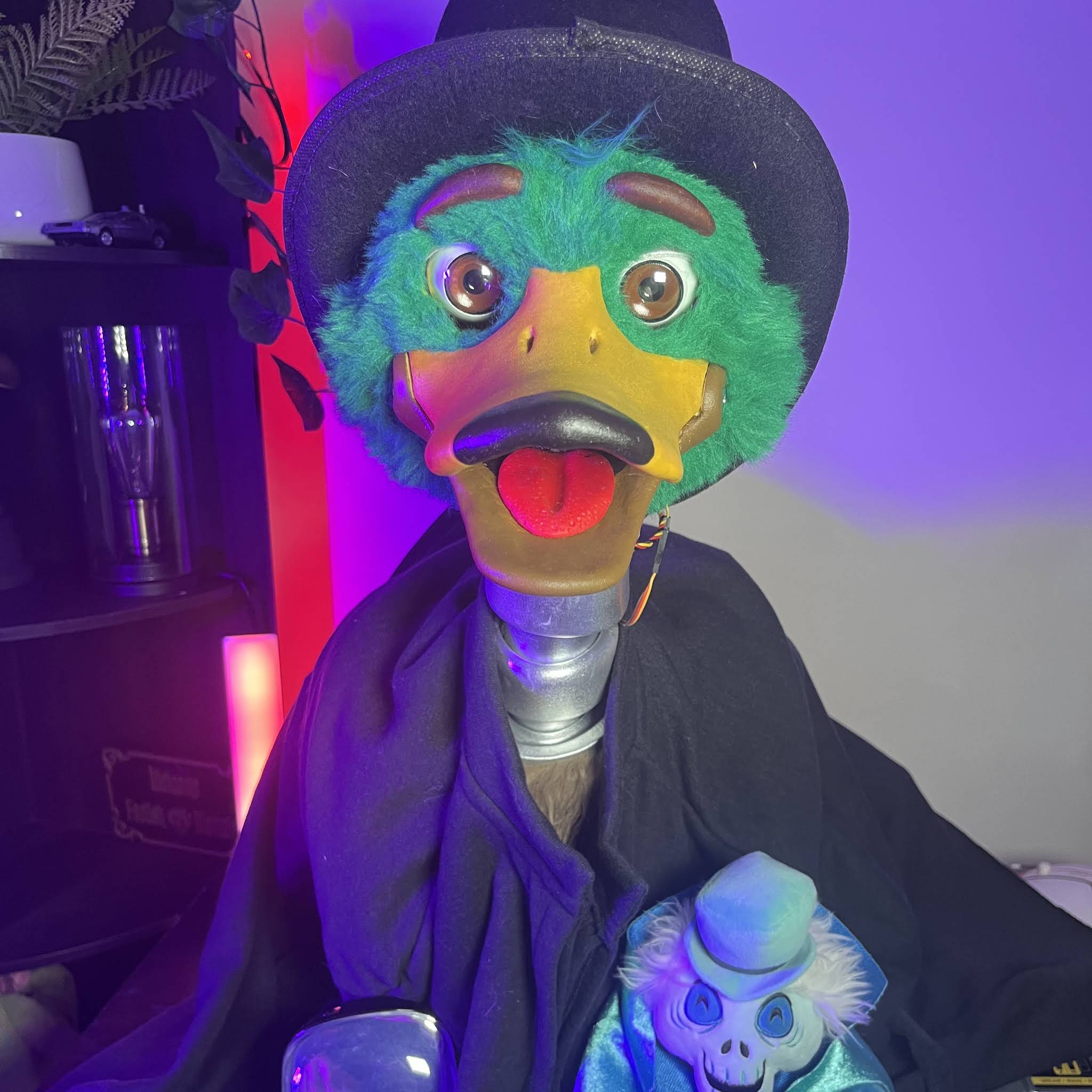 Post from Fastpass Facts