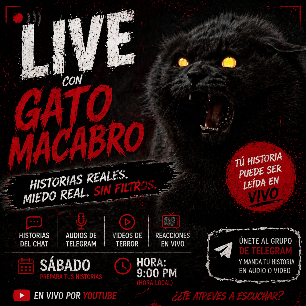 Post from Gato Macabro