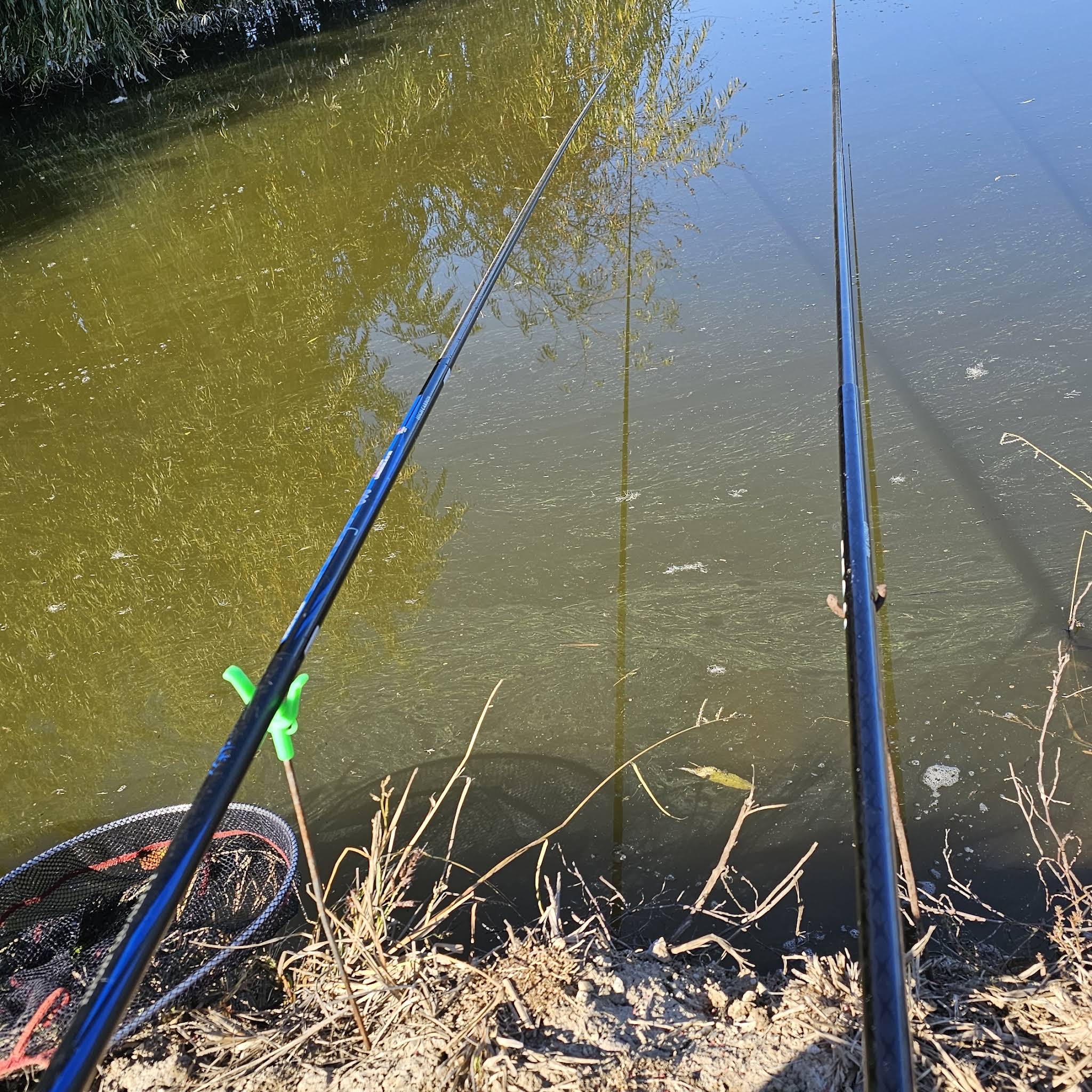 Post from Fish Hacker