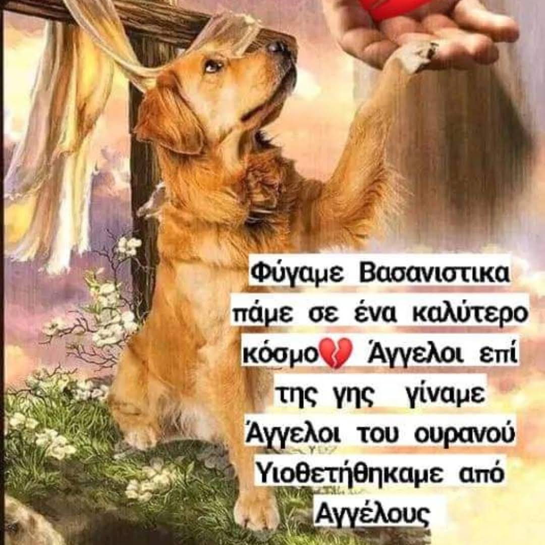 Post from Φως Χριστου να διωξει το ανθρωποκτονο σκοταδι