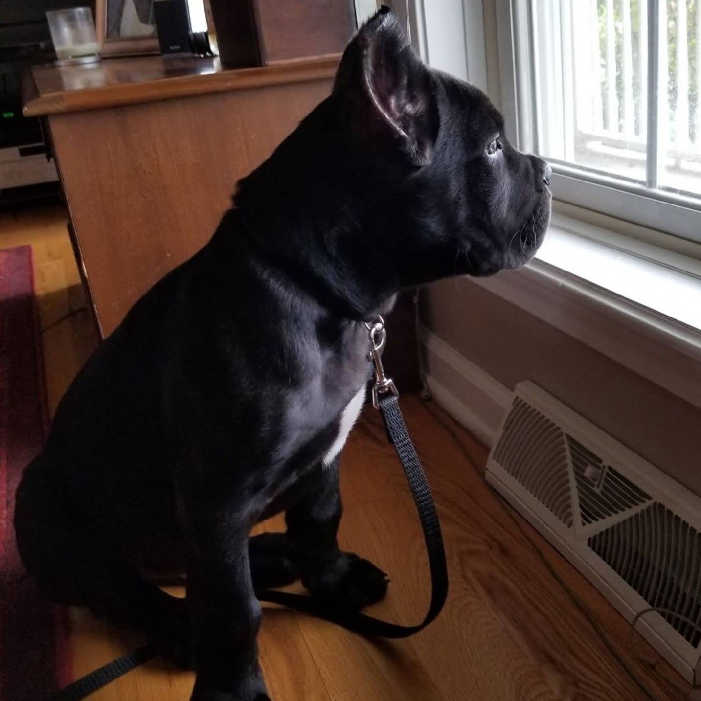 Post from Jason Corey