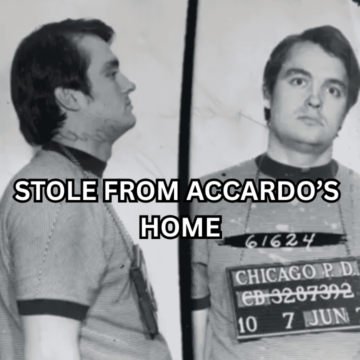 Post from OC SHORTZ - Organized Crime Shortz