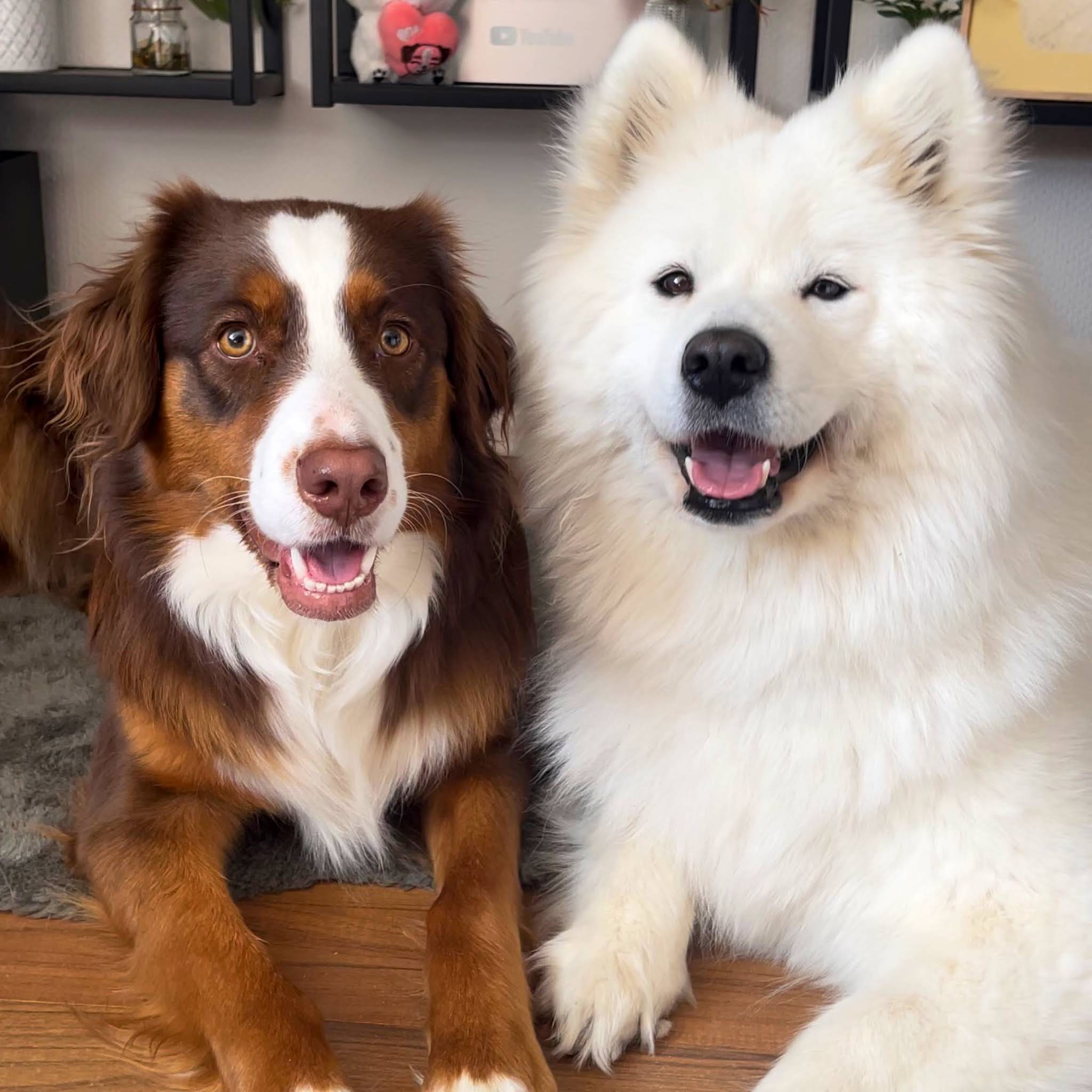 Post from Baby Bear Yuki