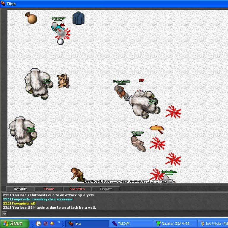 Post from Old Tibia Videos