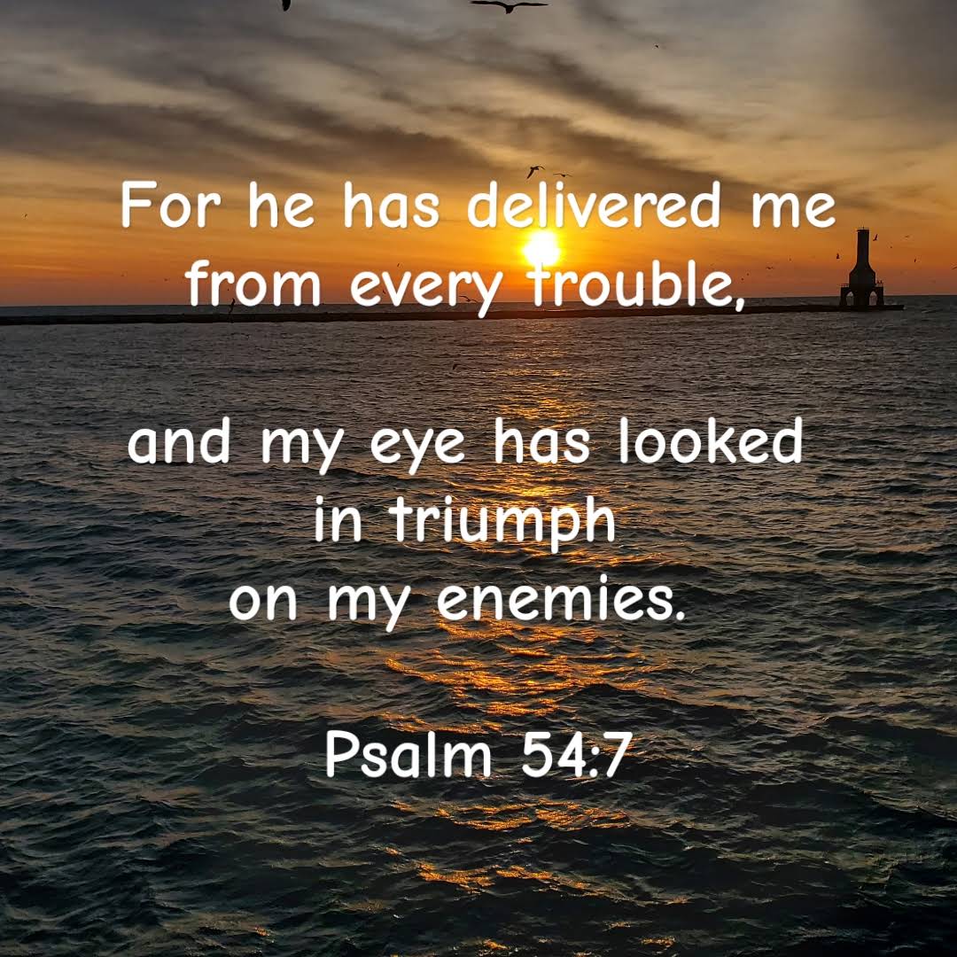 Post from bestdayeverTV