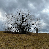 Post from Tippy Homestead