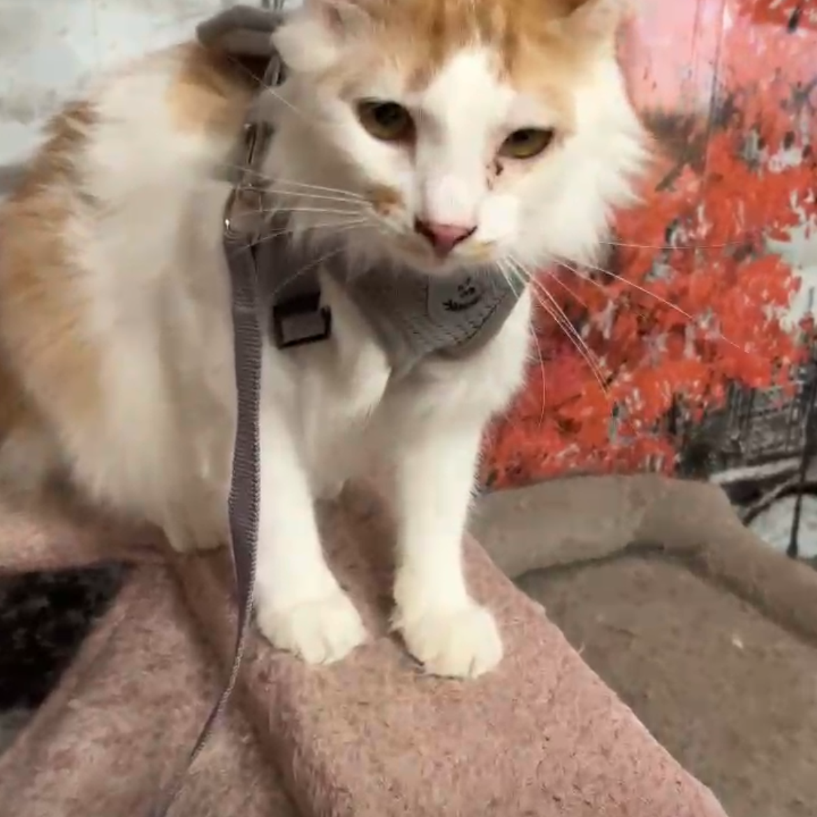 Post from Robin Seplut