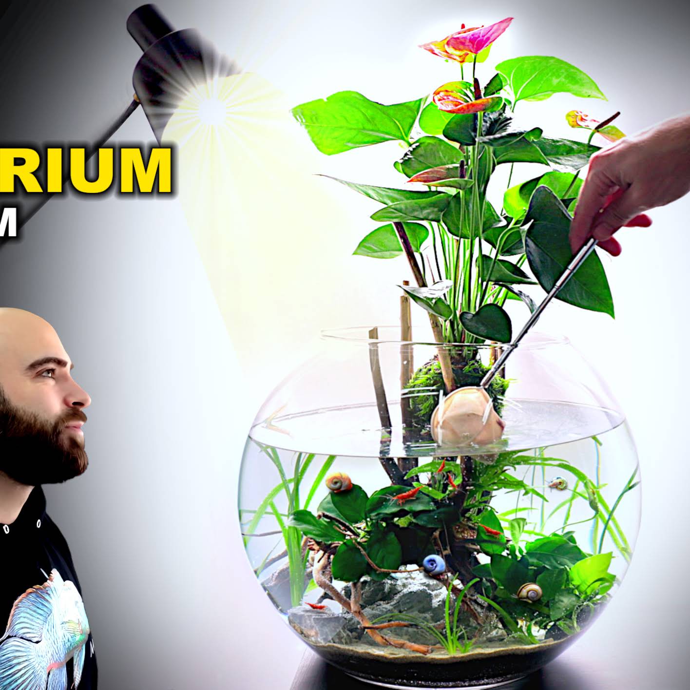 @mdfishtanks | MD Fish Tanks | fishfam.link