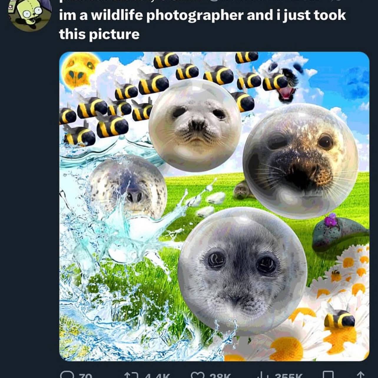 Post from Meme Asylum 4