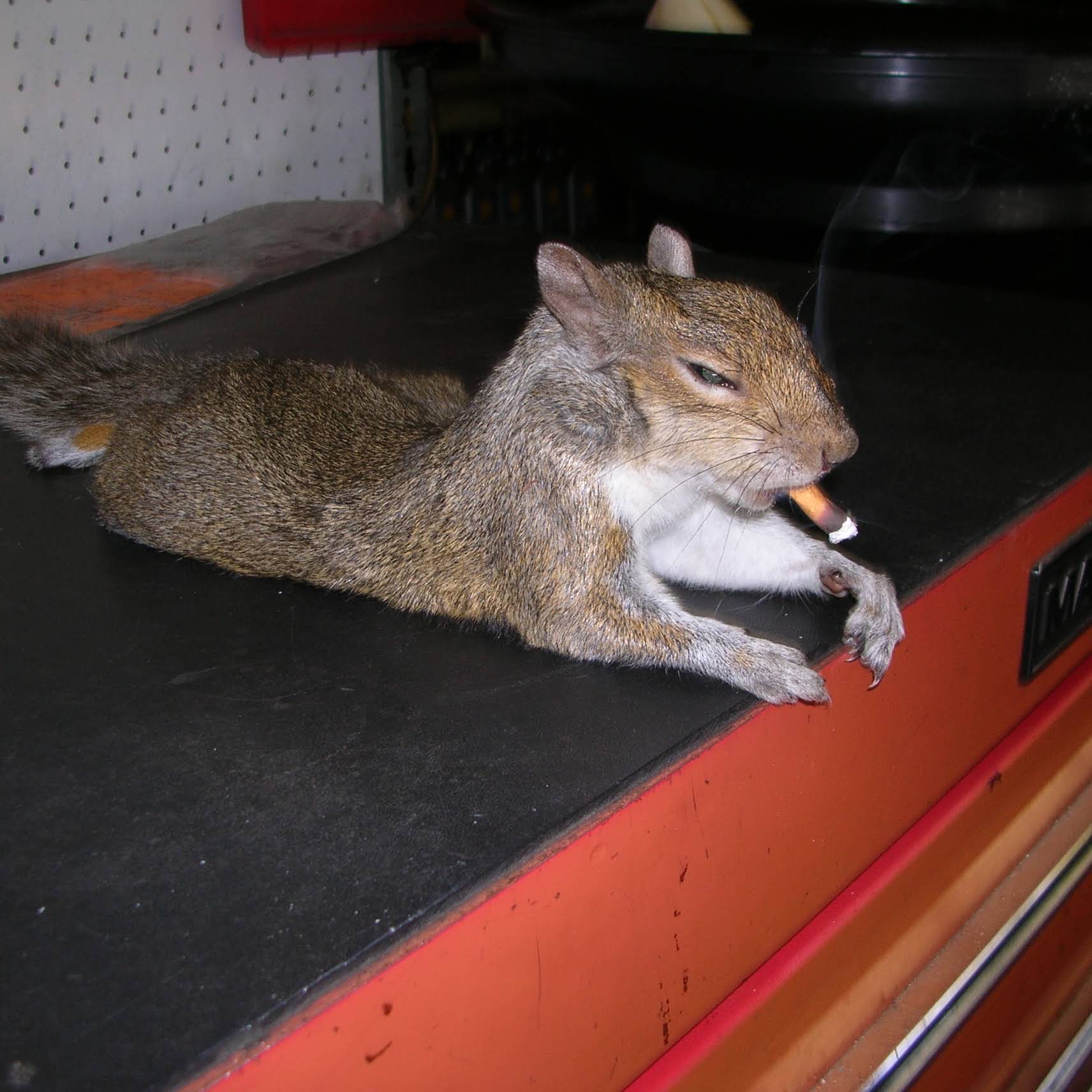 Post from Lootbag Larry2