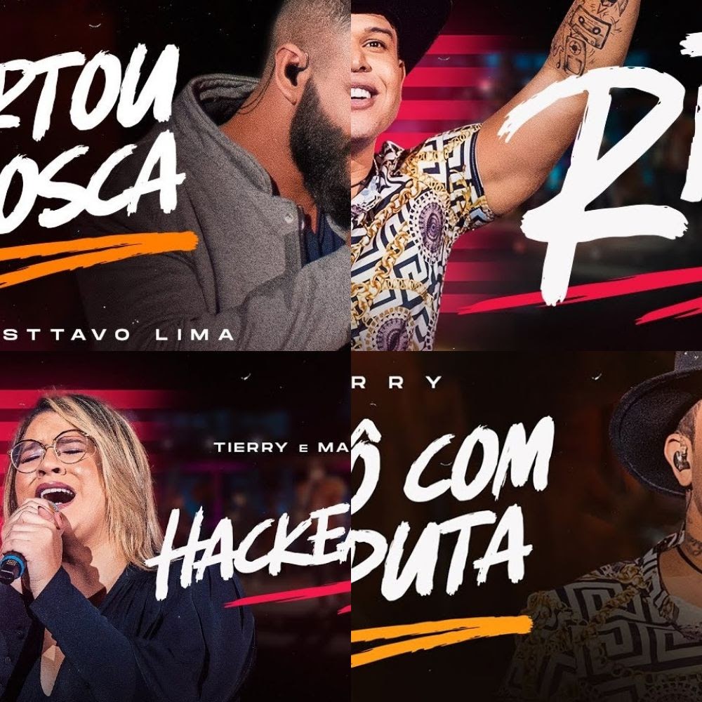 DVD Acertou Na Mosca