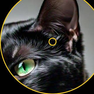 Post from Anonimo-gato