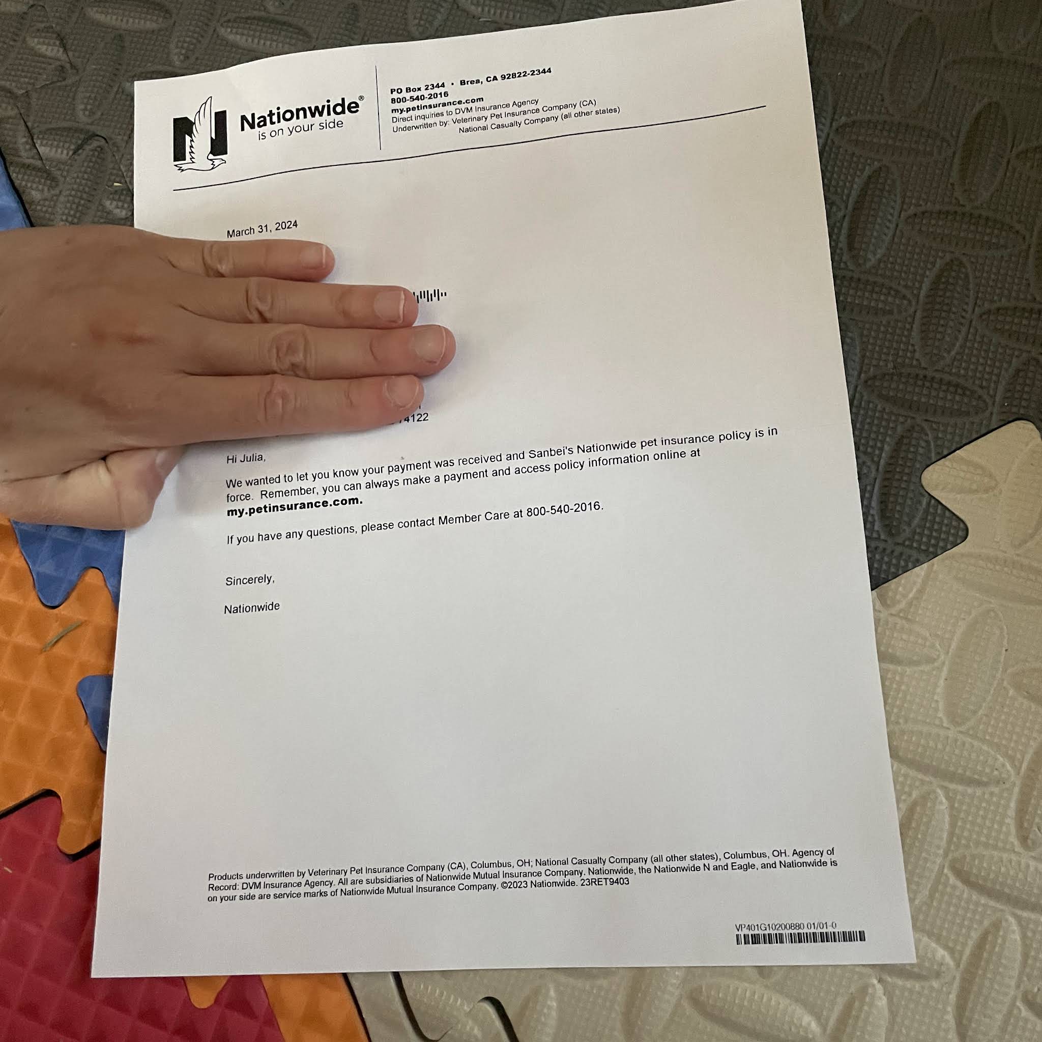 Post from Bunny Sanbei's Journey