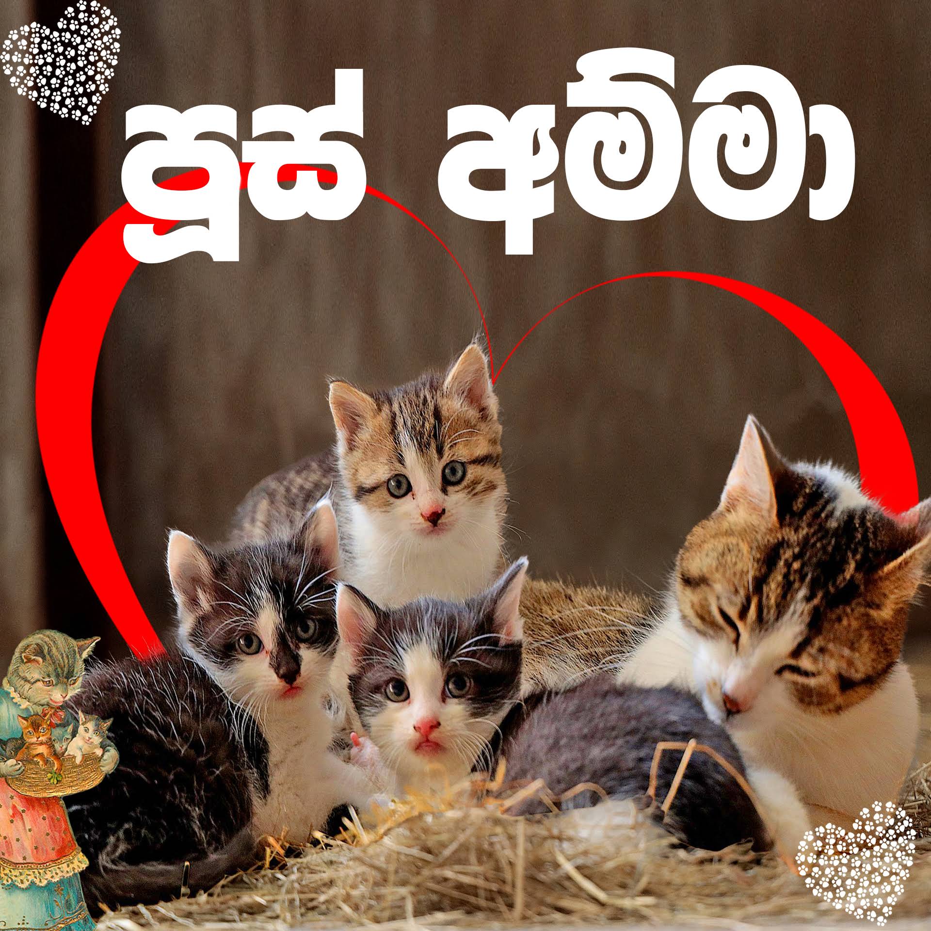 Post from Filltrix Sinhala