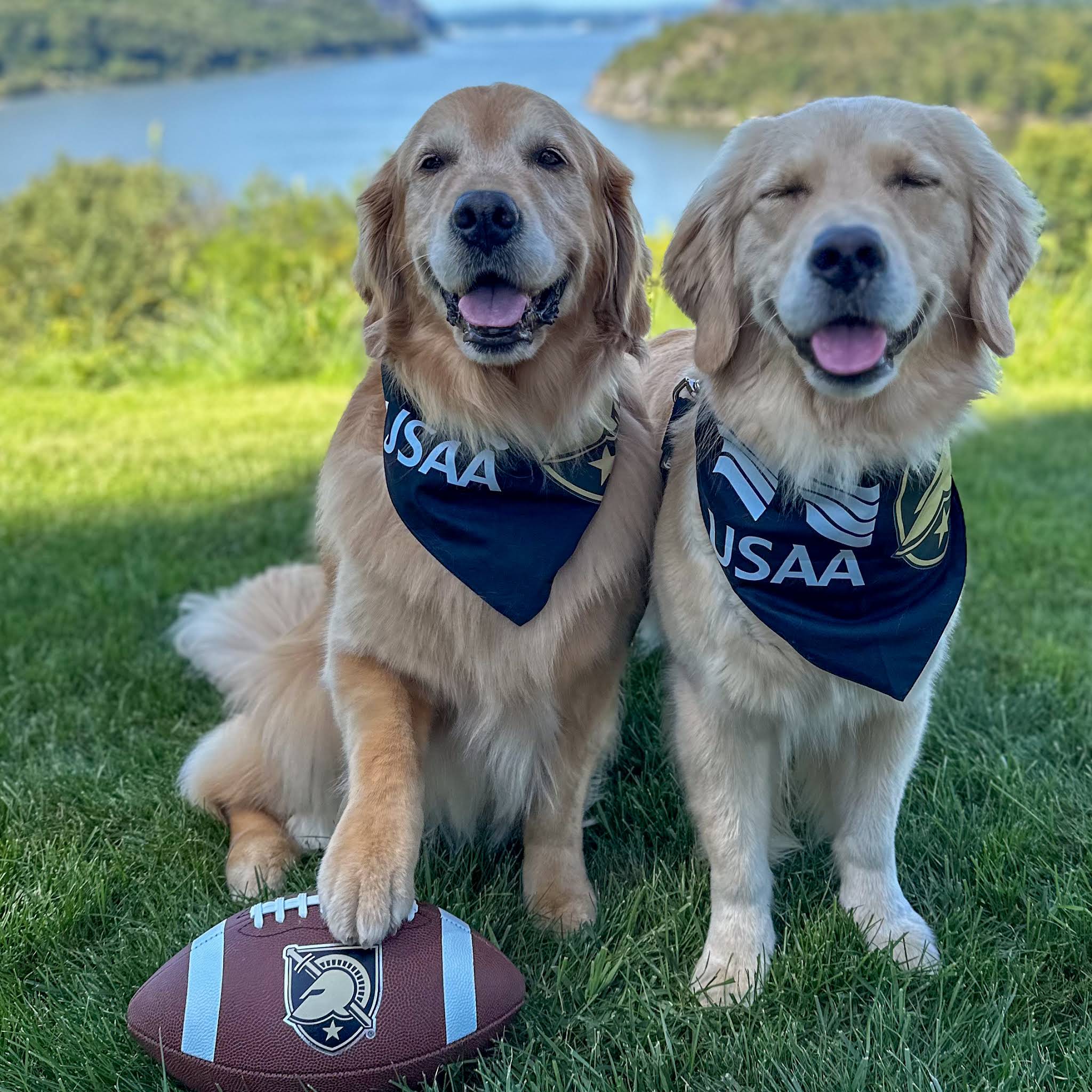 Post from Ellie Golden Life