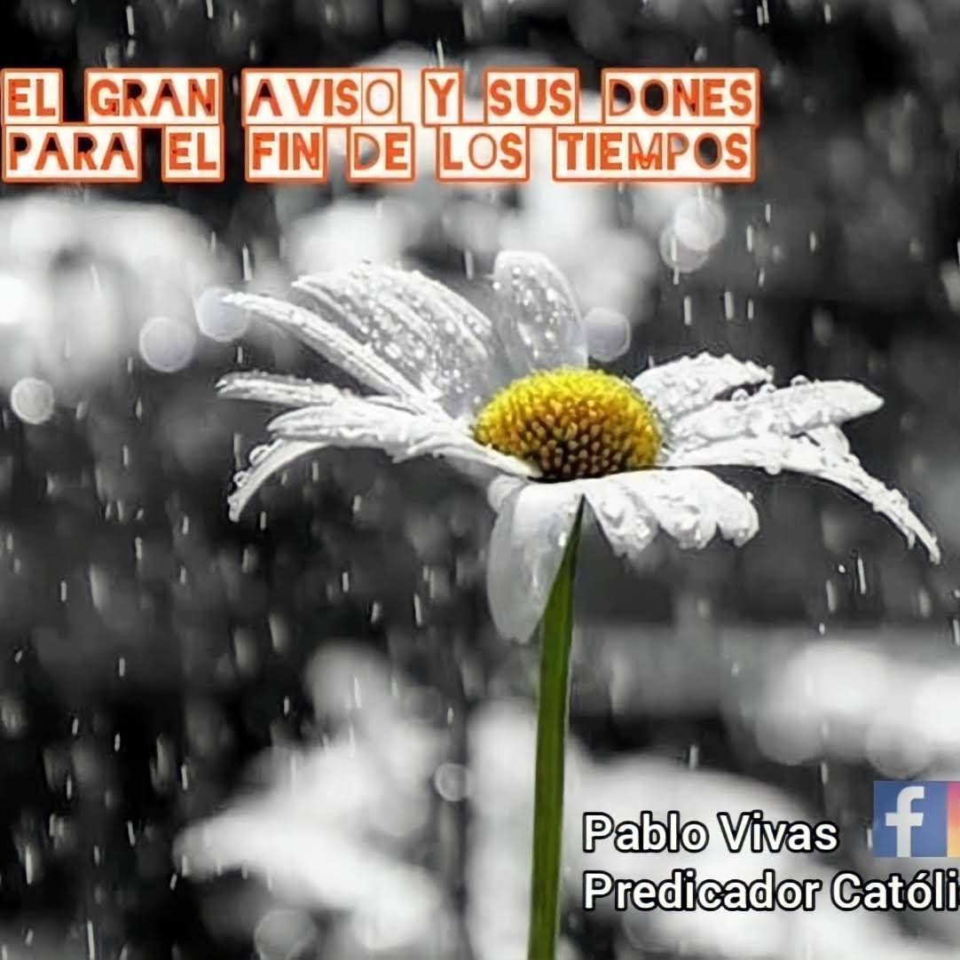 Post from Pablo Vivas Predicador Católico