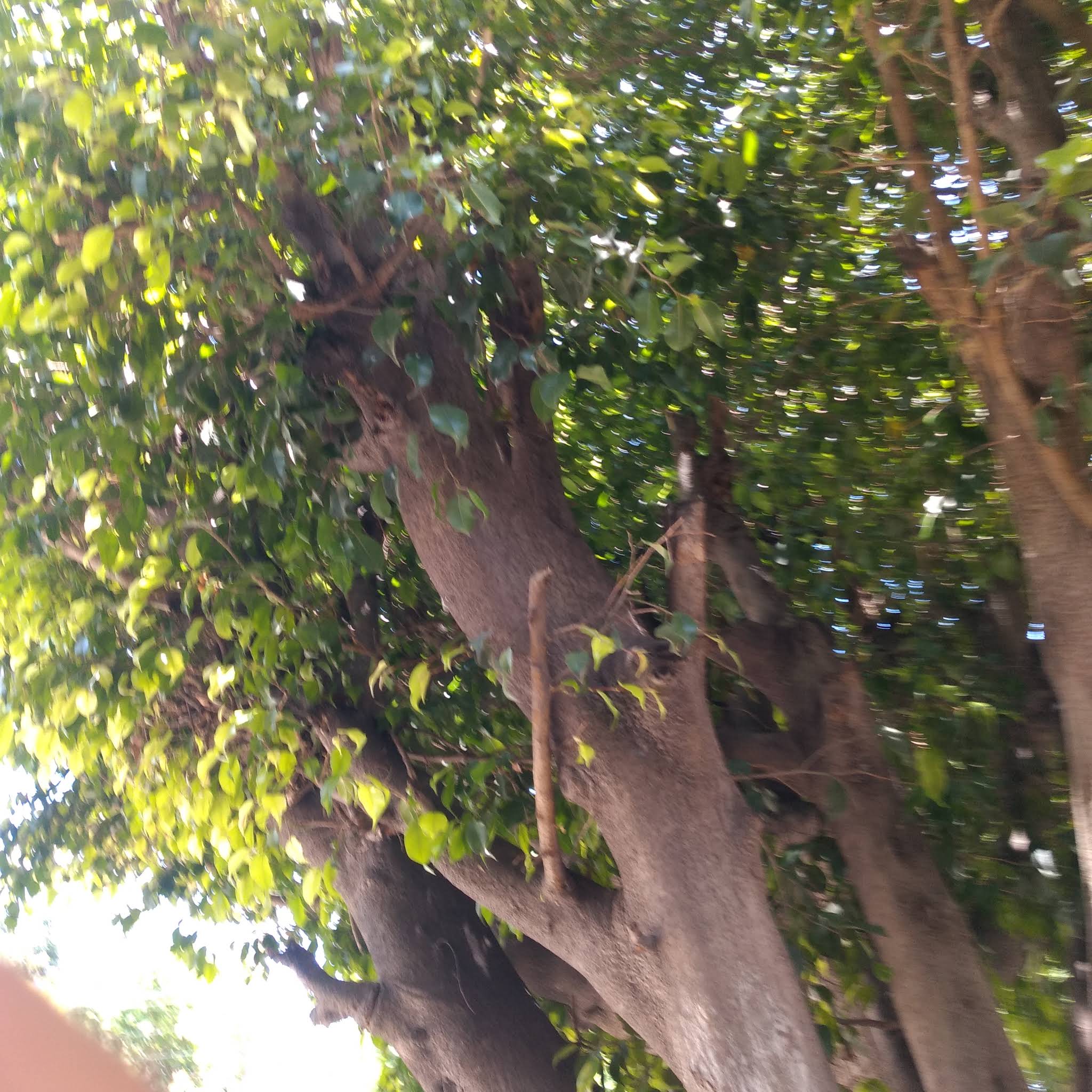 Post from Windows 11EF BFDI 🇲🇽