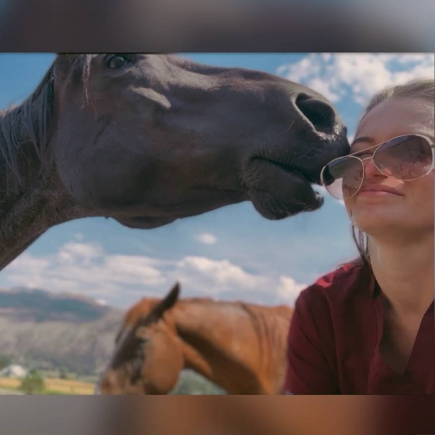 Post from Rudnik the Roan