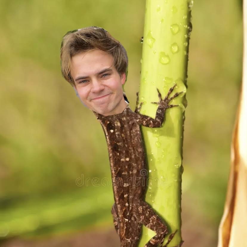 Post from Nick Wilkins