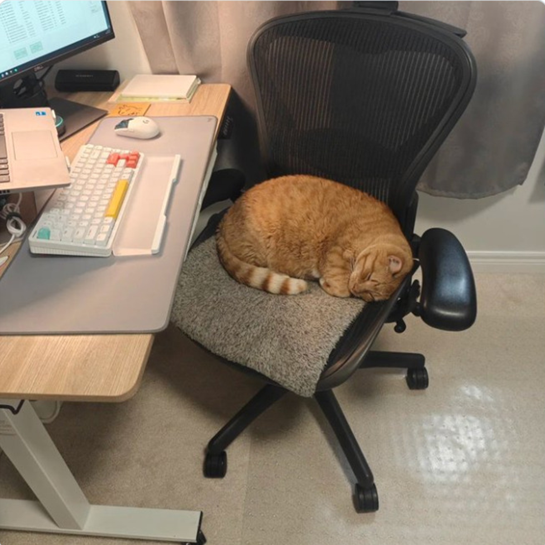 Post from Weird Animal