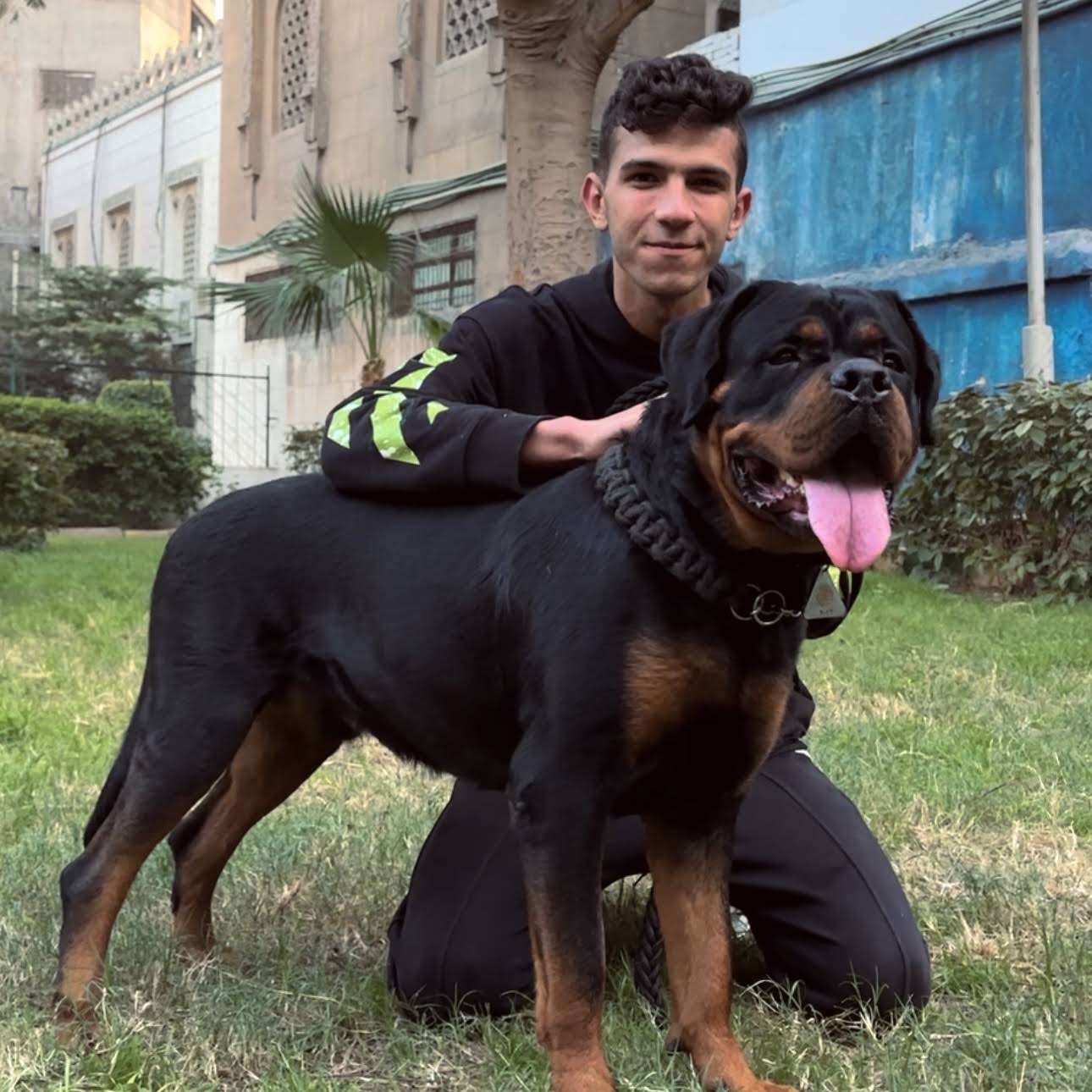 Post from Omar Ahmed - Animals