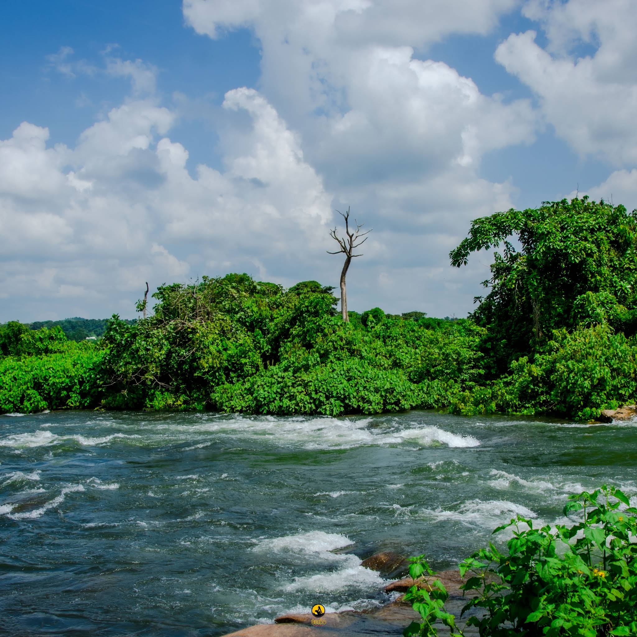 Post from Ssebo Entertainment