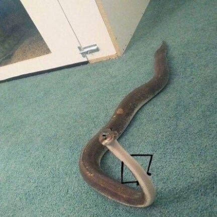 Post from Levi Bernhardt