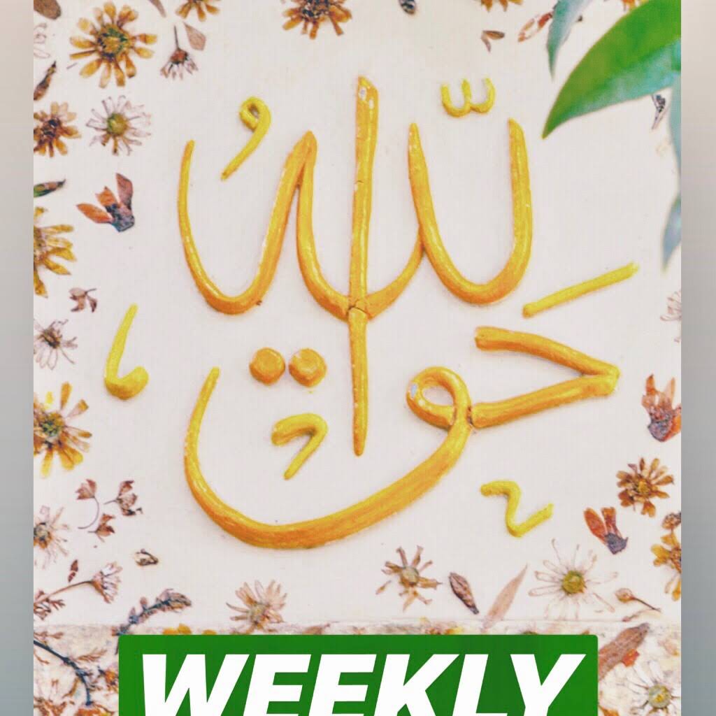 Post from Shaykh Ali Elsayed