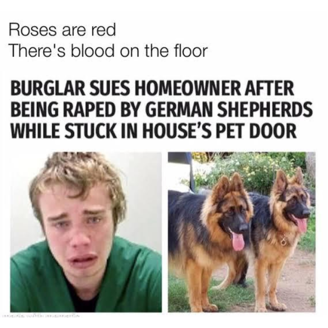 Post from The RedditNerd