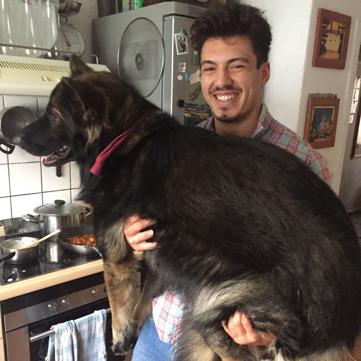 Post from Buddy & Friends