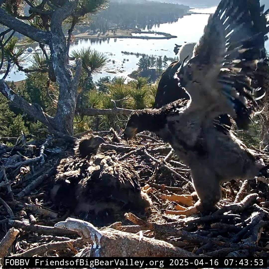 Post from FOBBV CAM