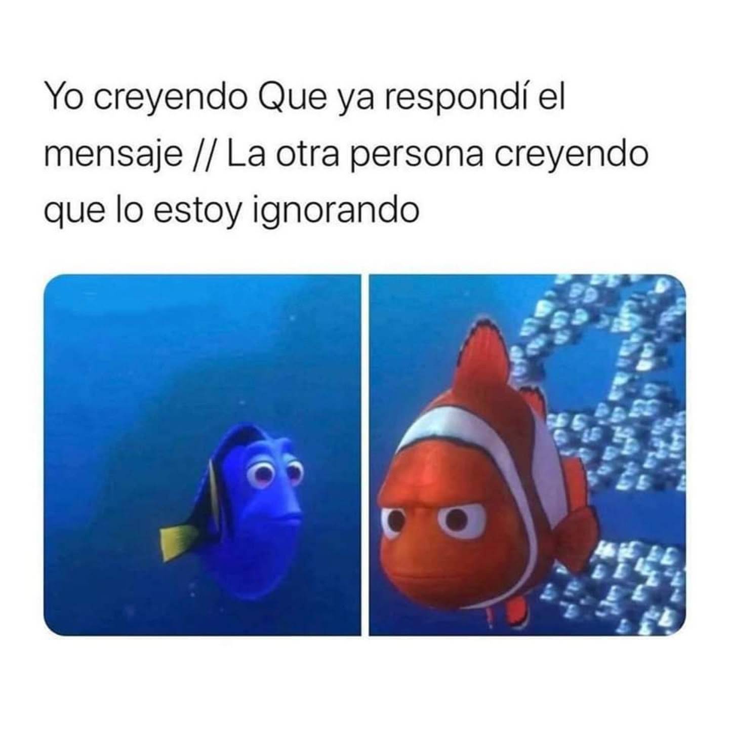 Post from SnowFlake Freak