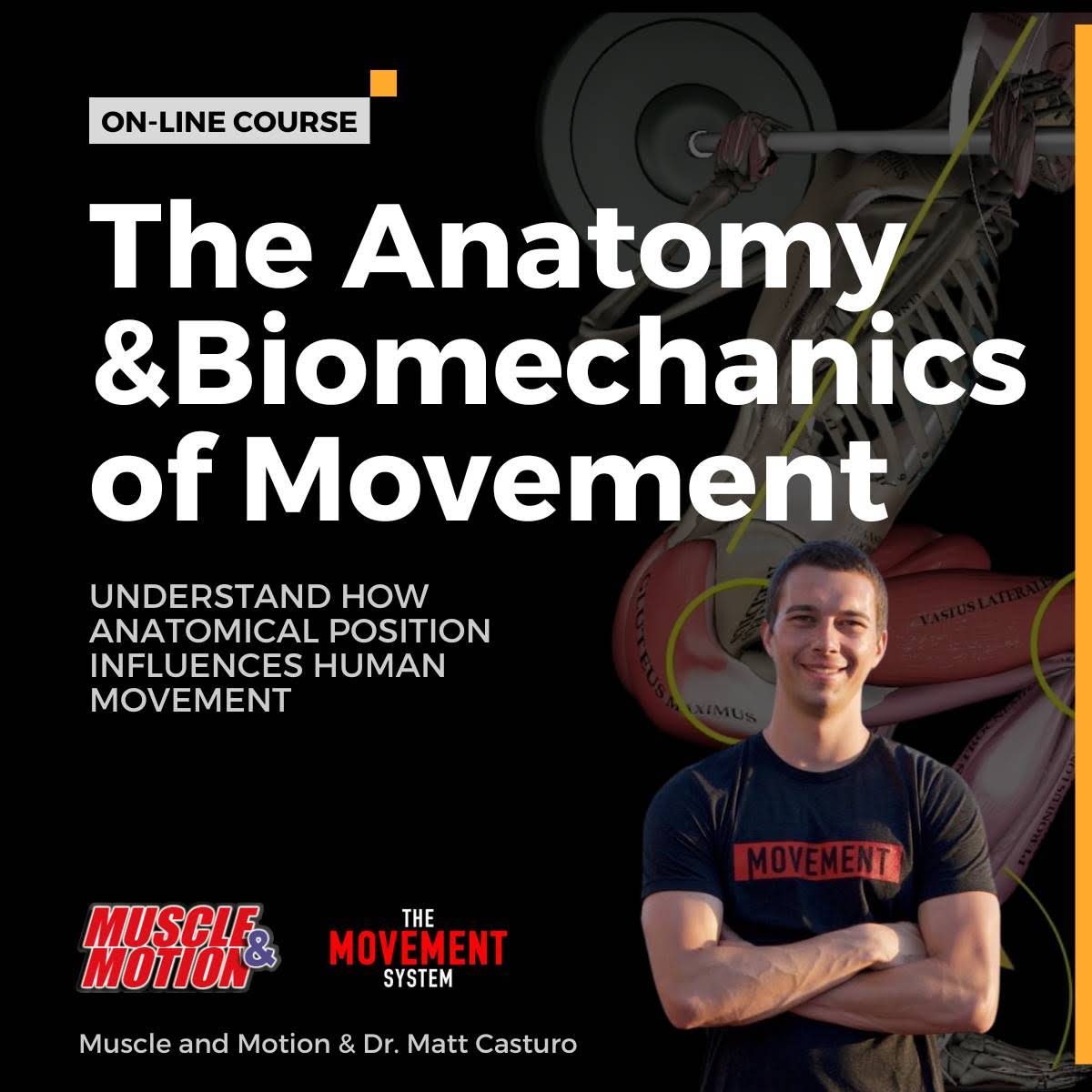 Post from Muscle & Motion
