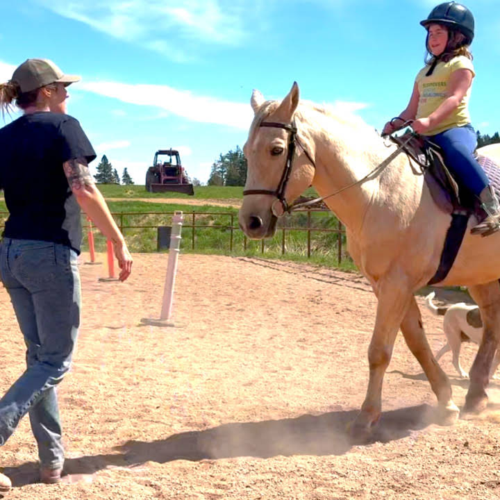 Post from MBF - Modern Homesteading