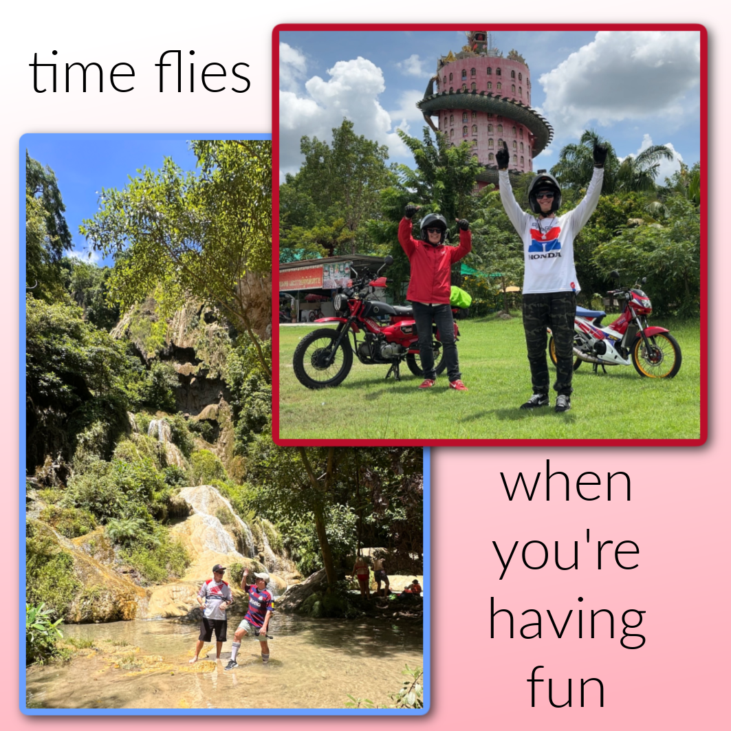 Post from Paddy Doyle