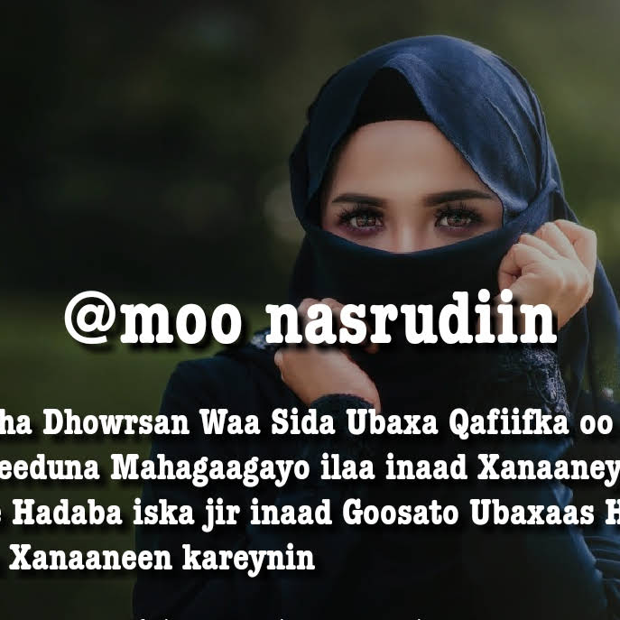 Post from moha tech fx