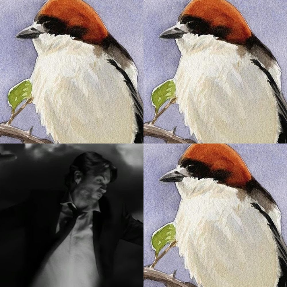 Best of Roberto Iniesta (Robe)