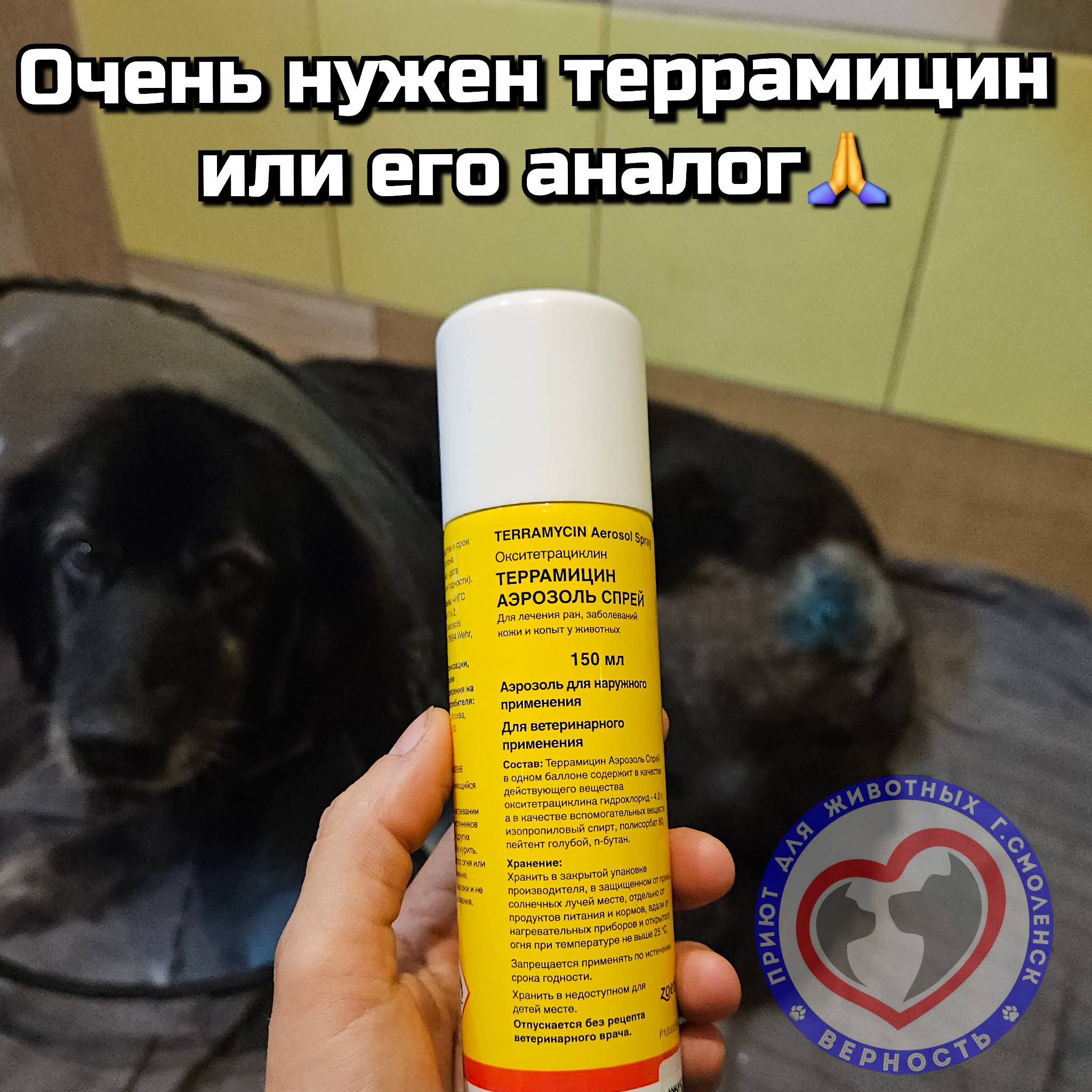 Post from Vernost TV
