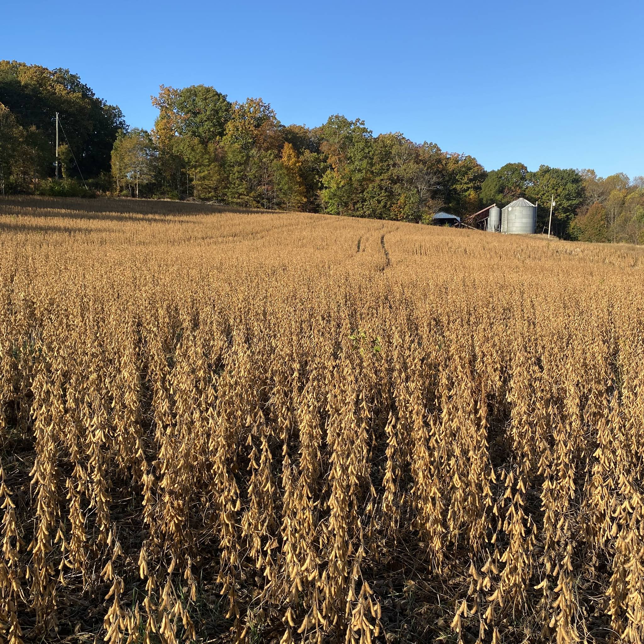 Post from Routh Farms