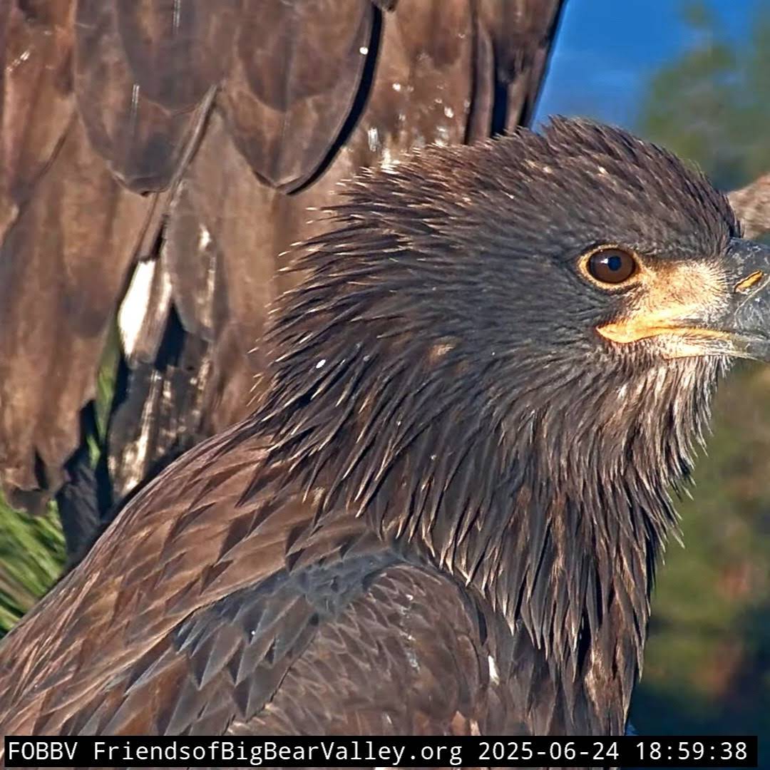 Post from FOBBV CAM