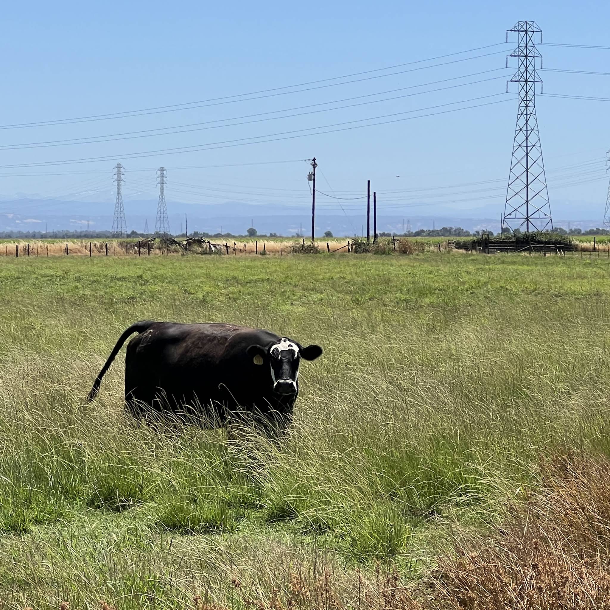 Post from Farmer Tyler Ranch